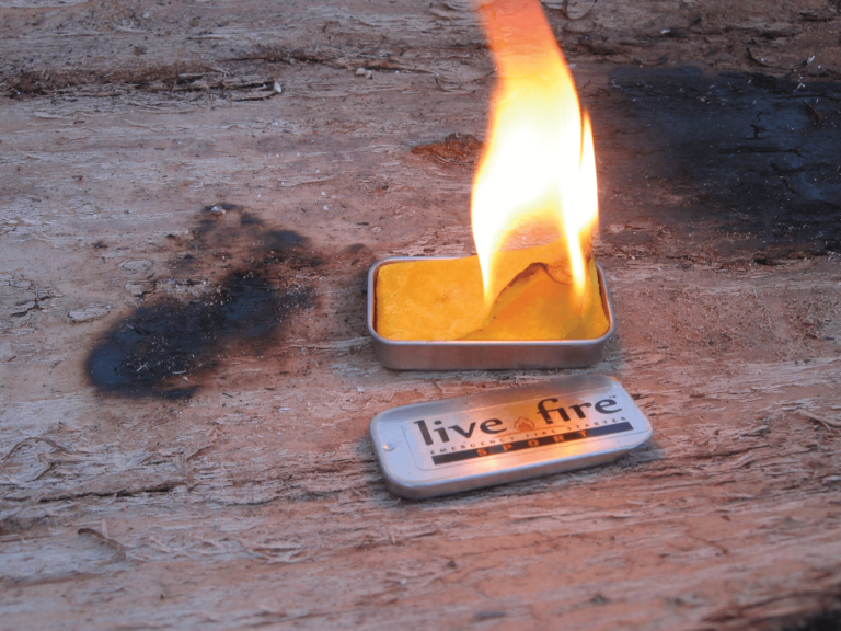 How to Start a Fire in the Wild: Essential Survival & Camping Tips