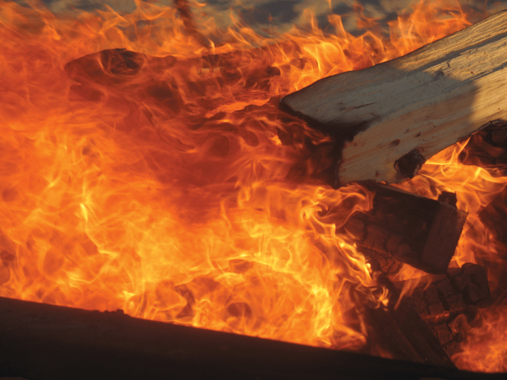 How to Start a Fire in the Wild: Essential Survival & Camping Tips