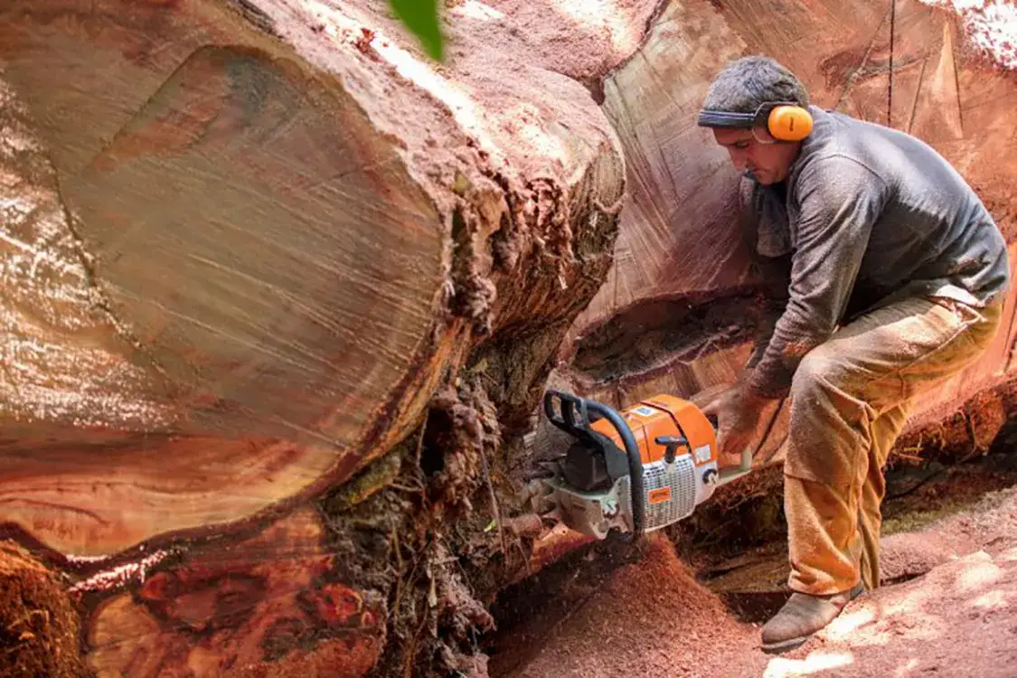 Iron Forge Workwear from Patagonia