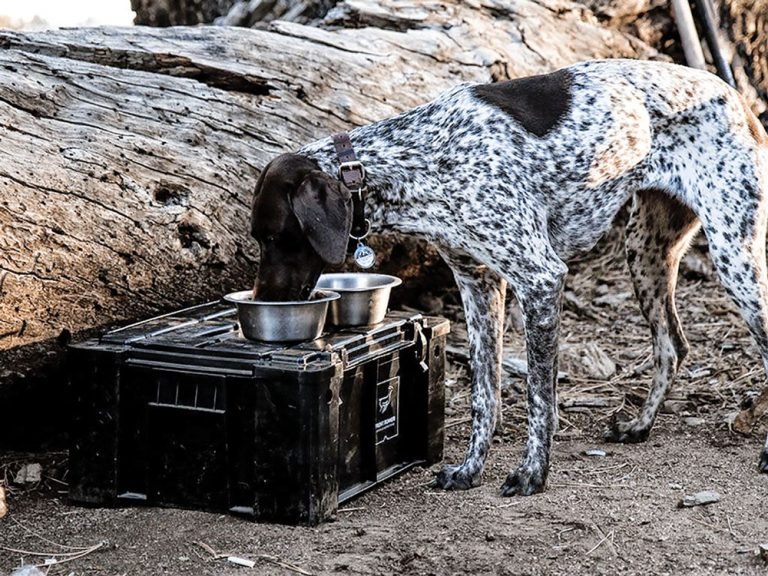 Overland Storage Containers Guide