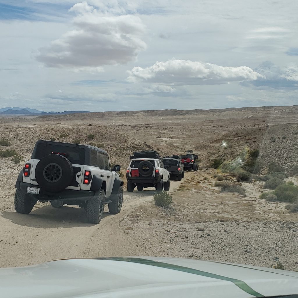 Girl Scouts Hit the Trail With Tread Lightly!